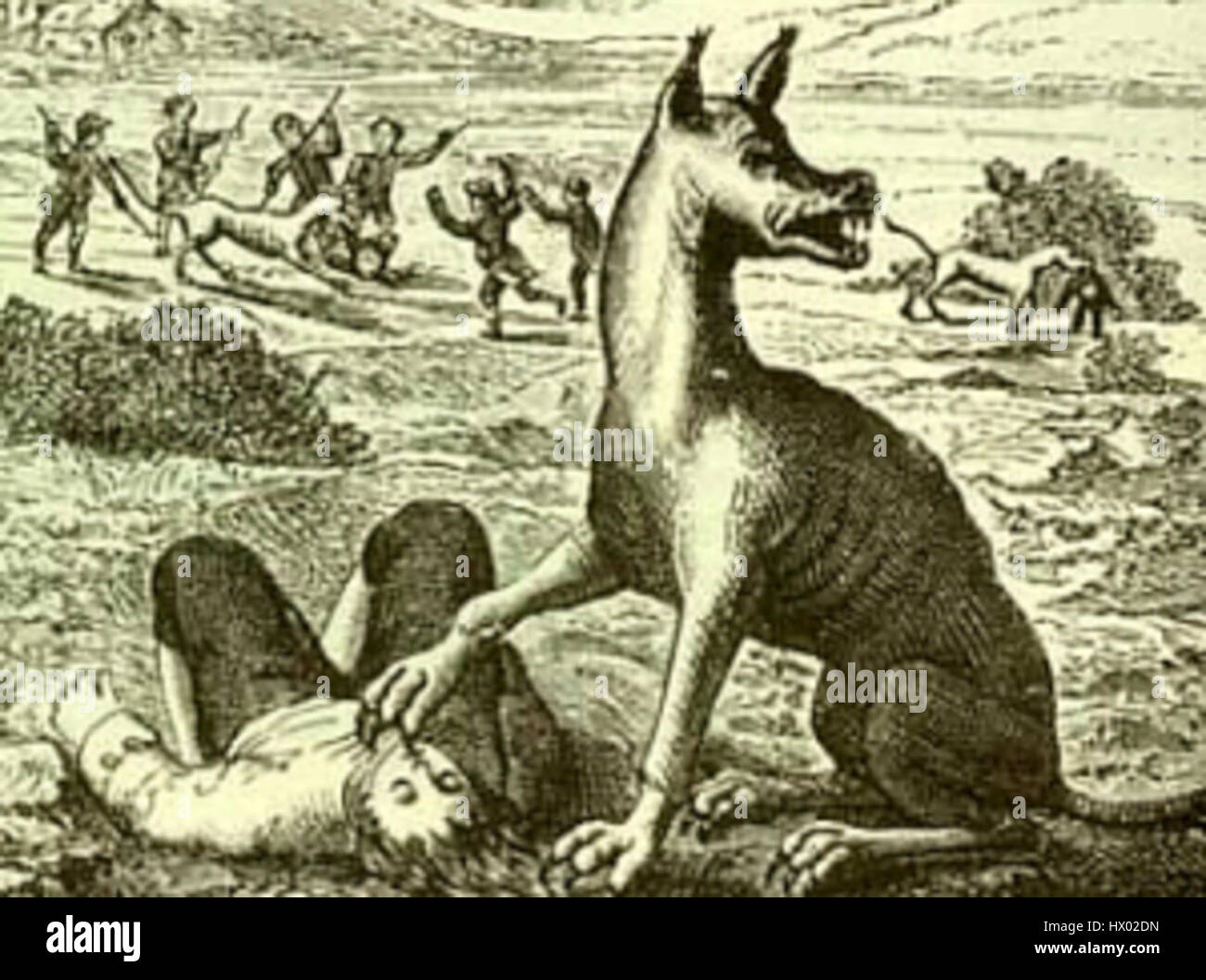 The Gevaudan Monster refers to a series of infamous attacks in 18th ...