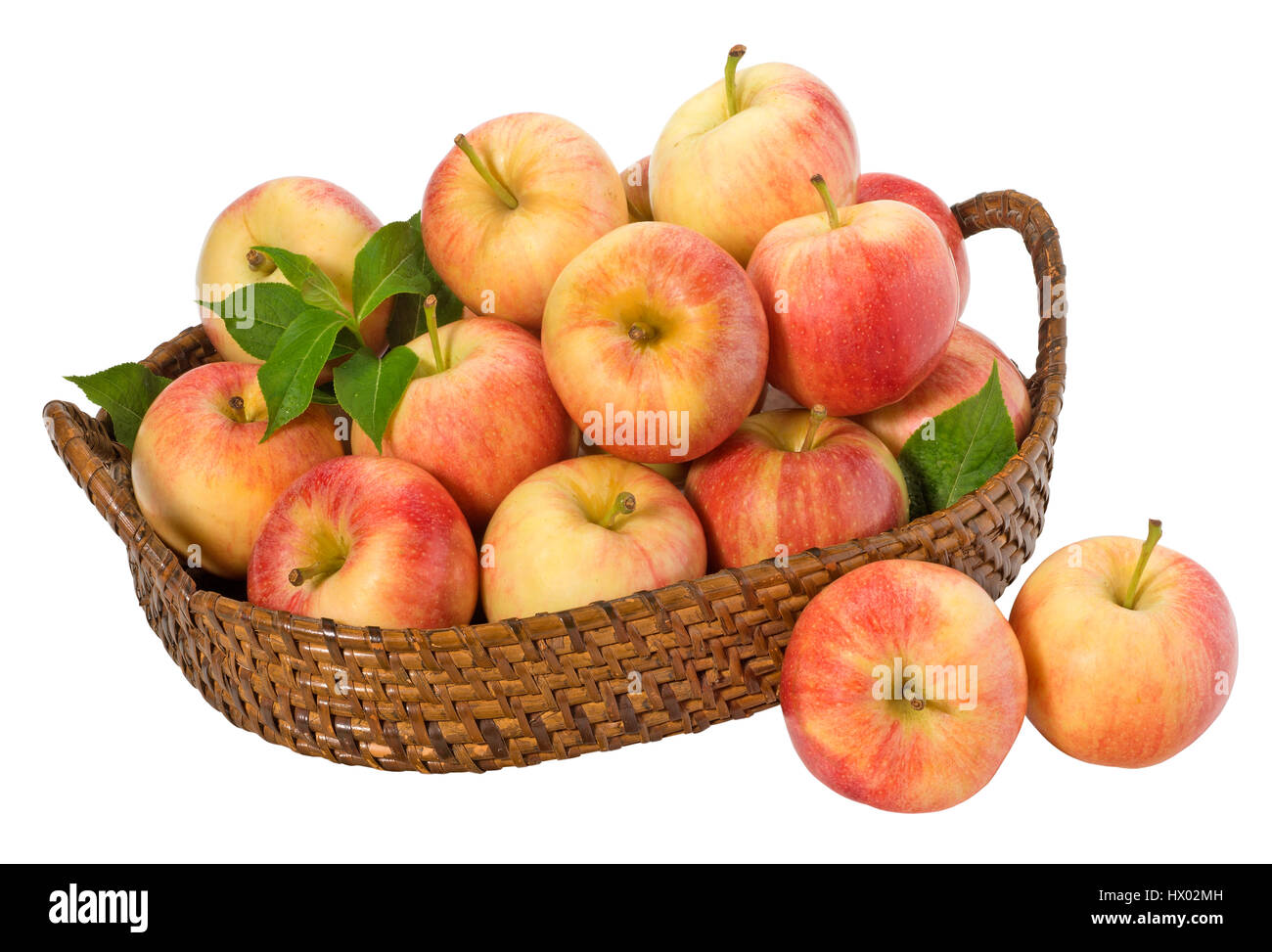 Very large apples Cut Out Stock Images & Pictures - Alamy