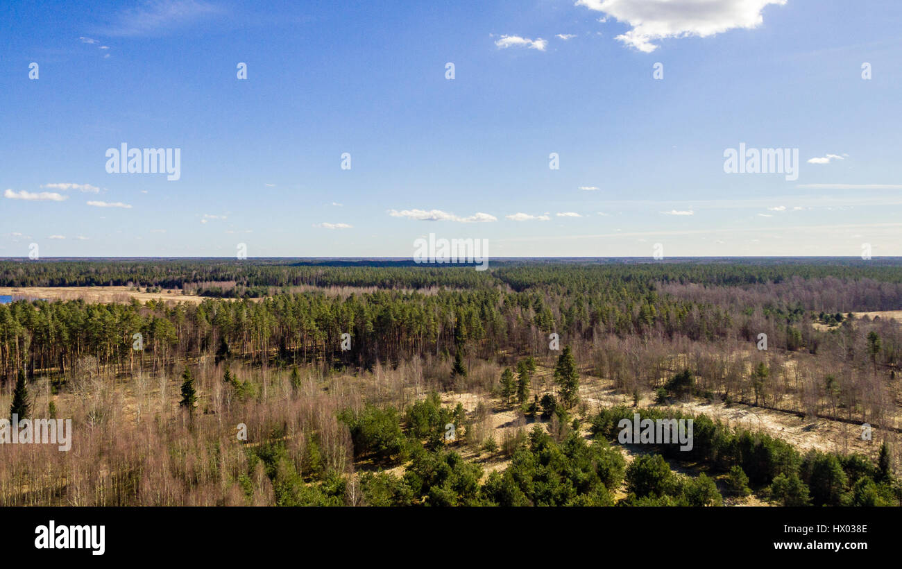 drone image. aerial view of rural area with fields and forests in ...