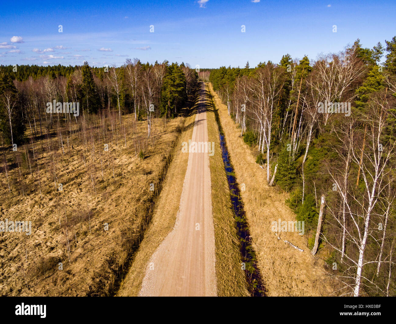 drone image. aerial view of rural area with forest road in spring day ...