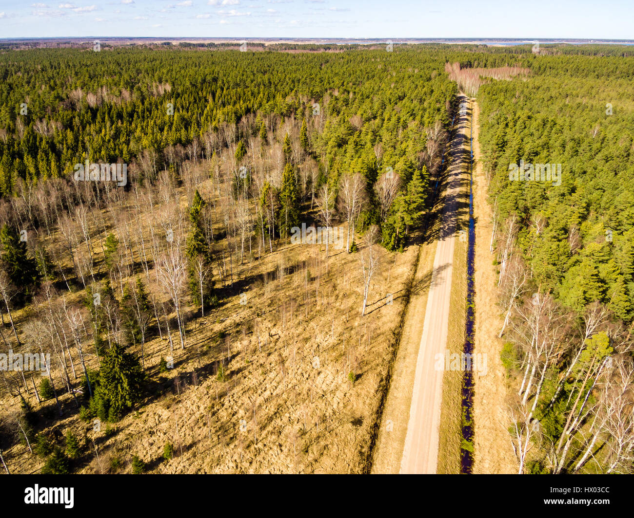 drone image. aerial view of rural area with fields and forests in ...