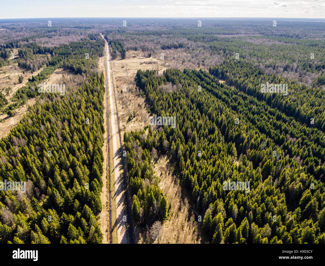 drone image. aerial view of rural area with forest road in spring day ...