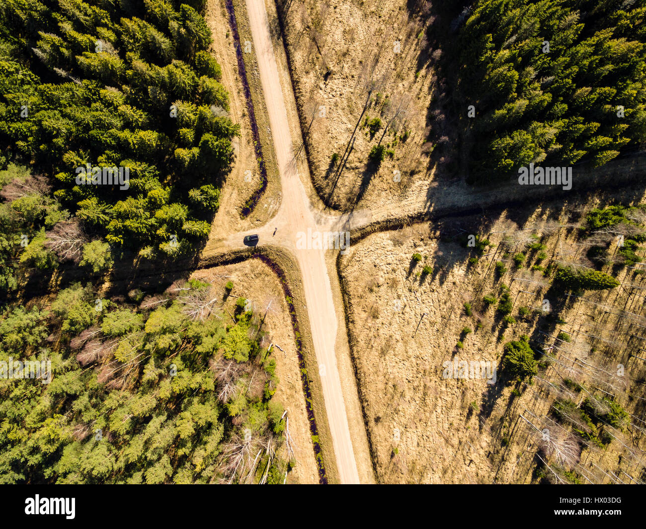 drone image. aerial view of rural area with forest crossroadss in ...