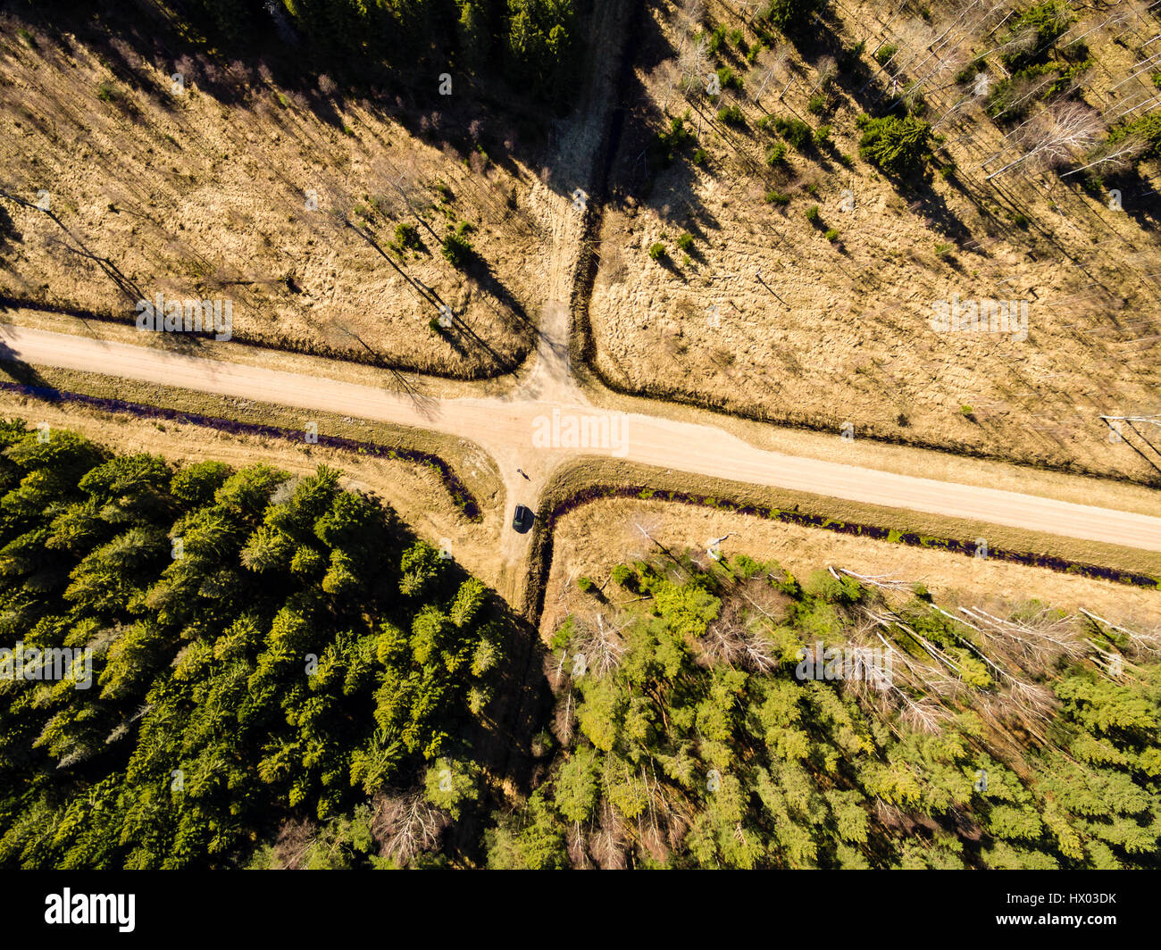 drone image. aerial view of rural area with forest crossroadss in ...