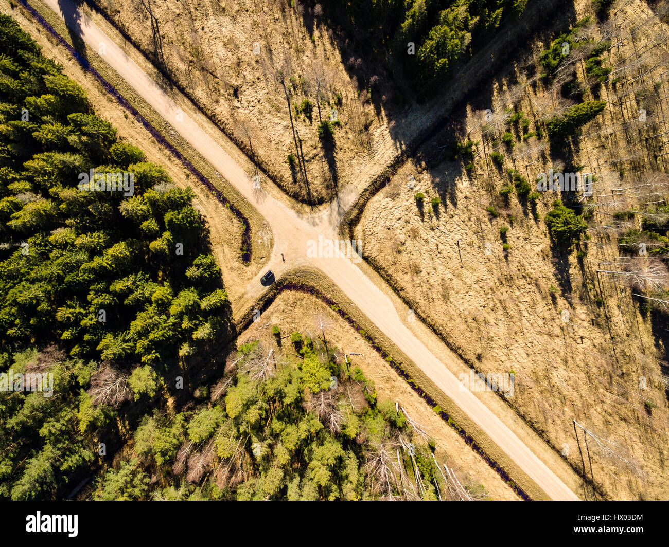 drone image. aerial view of rural area with forest crossroadss in ...