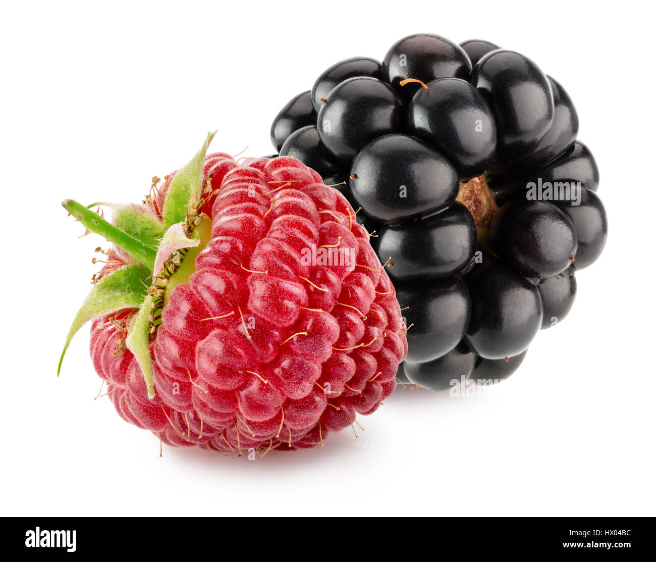 blackberry and raspberry isolated on the white background Stock Photo ...