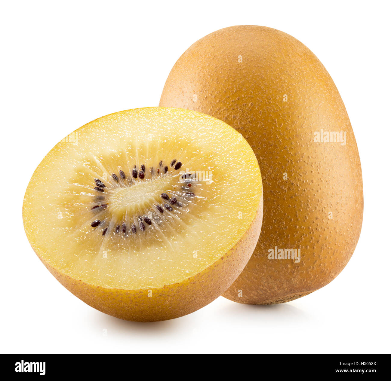 Golden Kiwi Plant