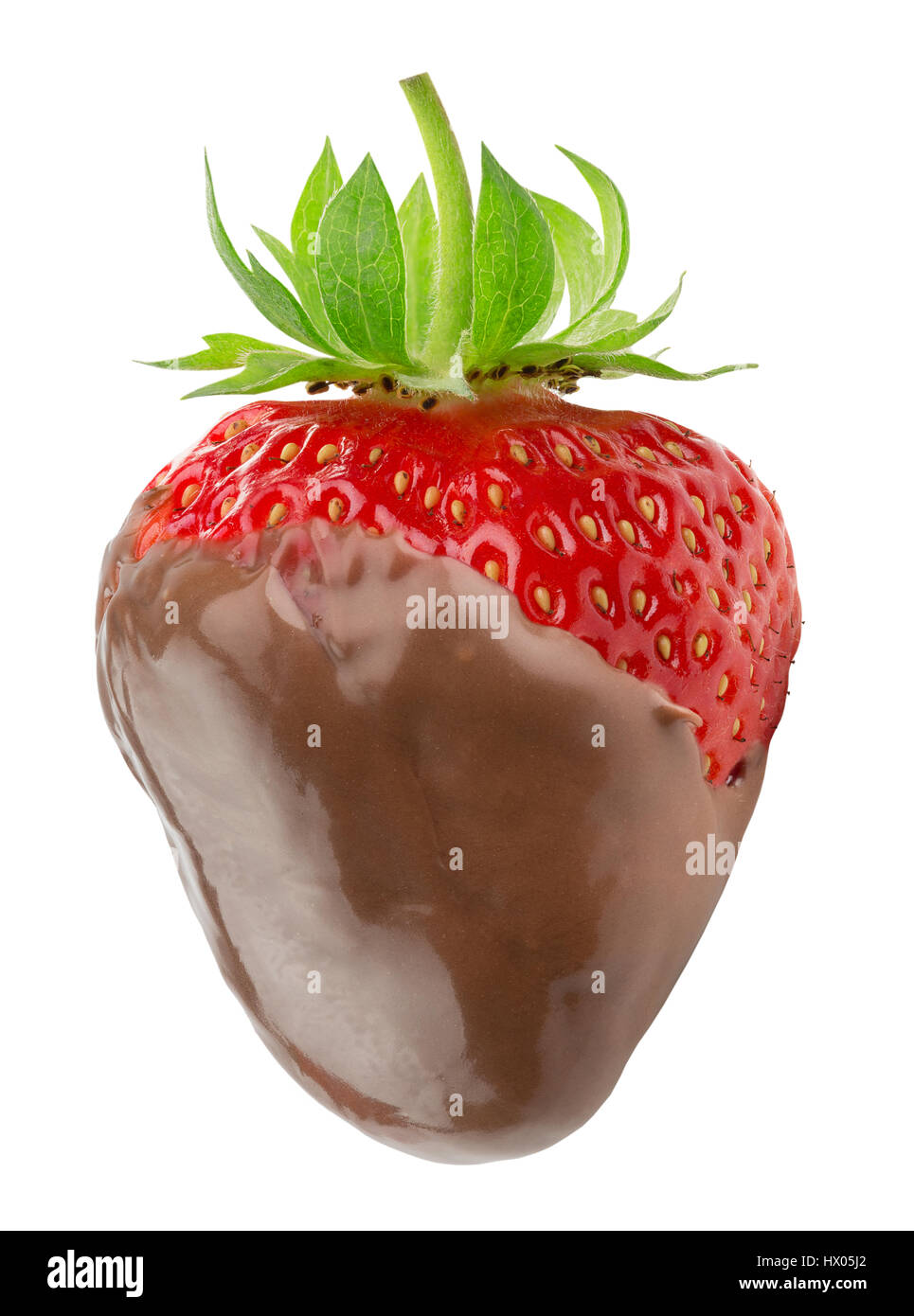 strawberry in chocolate isolated on the white background Stock Photo ...