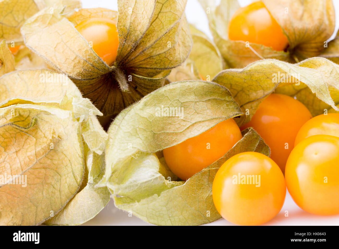 close up of cape gooseberries Stock Photo - Alamy