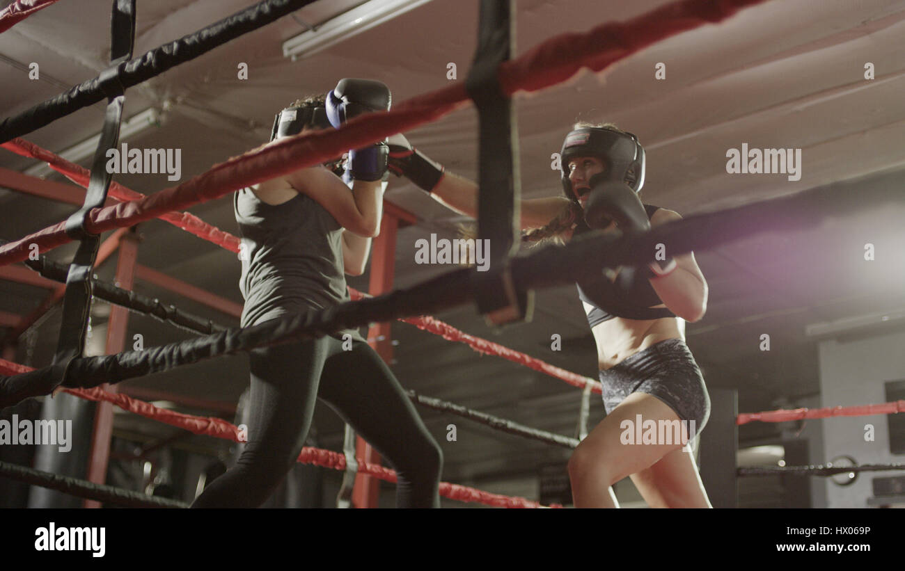 Low angle view of female boxers punching and fighting in boxing ring ...