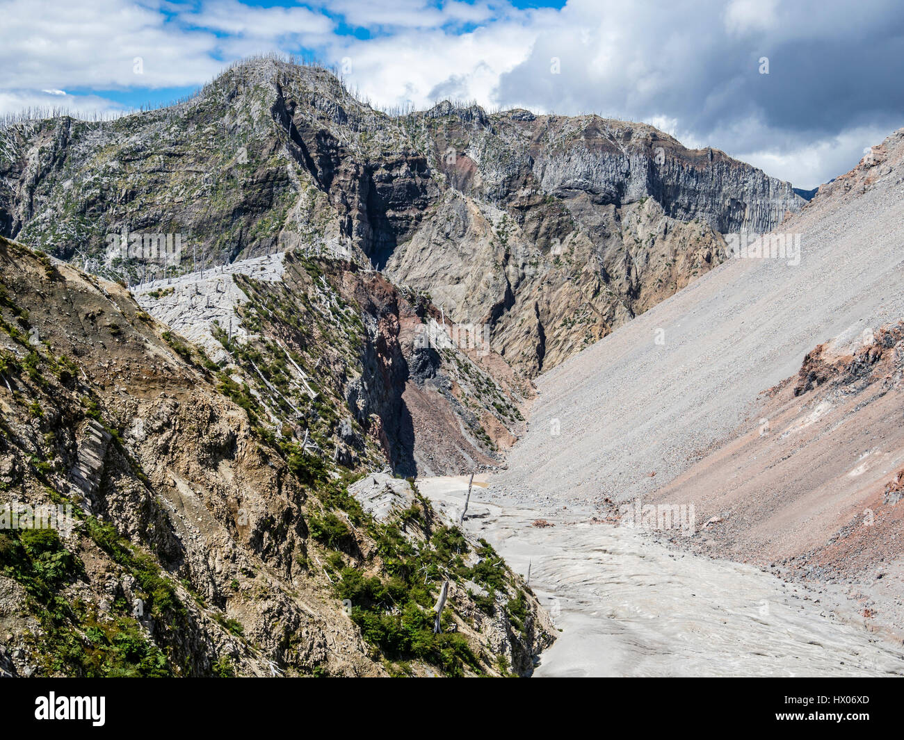 Ash covered slopes of the volcano Chaiten, dead trees of the eruption ...