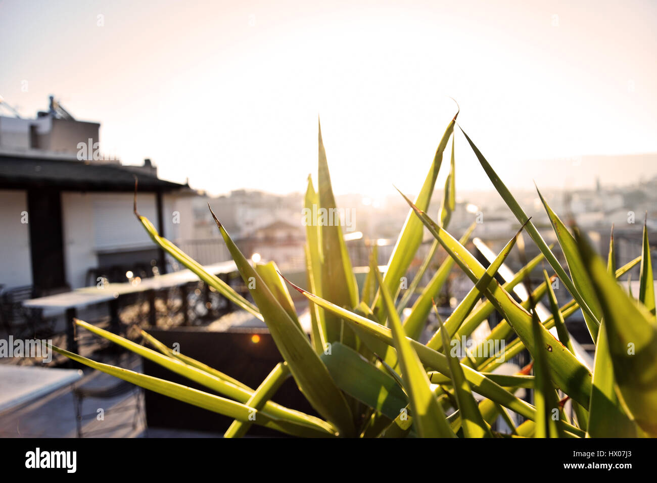 Rooftop at sunrise hi-res stock photography and images - Alamy