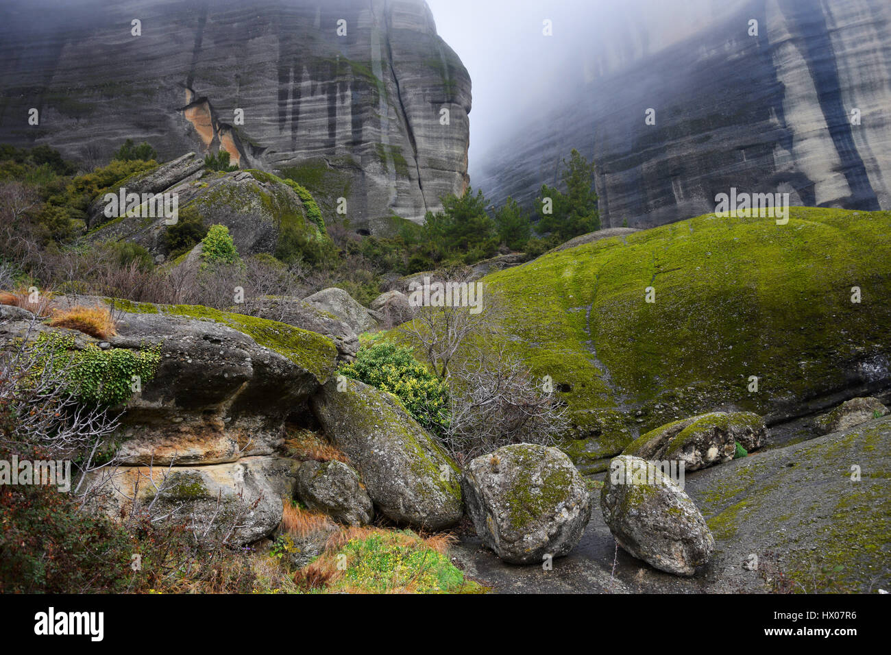 Overgrown rocks hi-res stock photography and images - Alamy