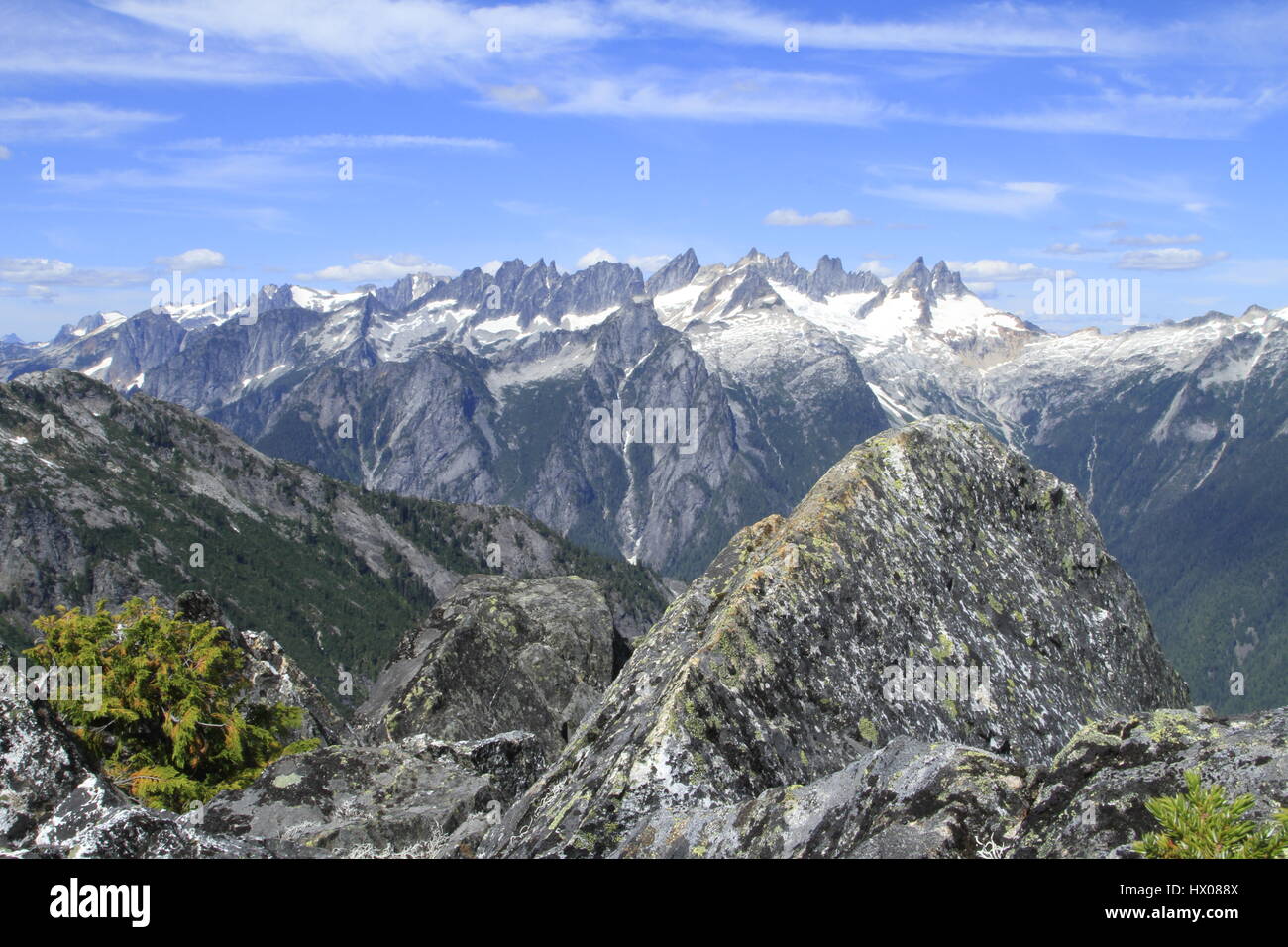 Southern pickets hi-res stock photography and images - Alamy