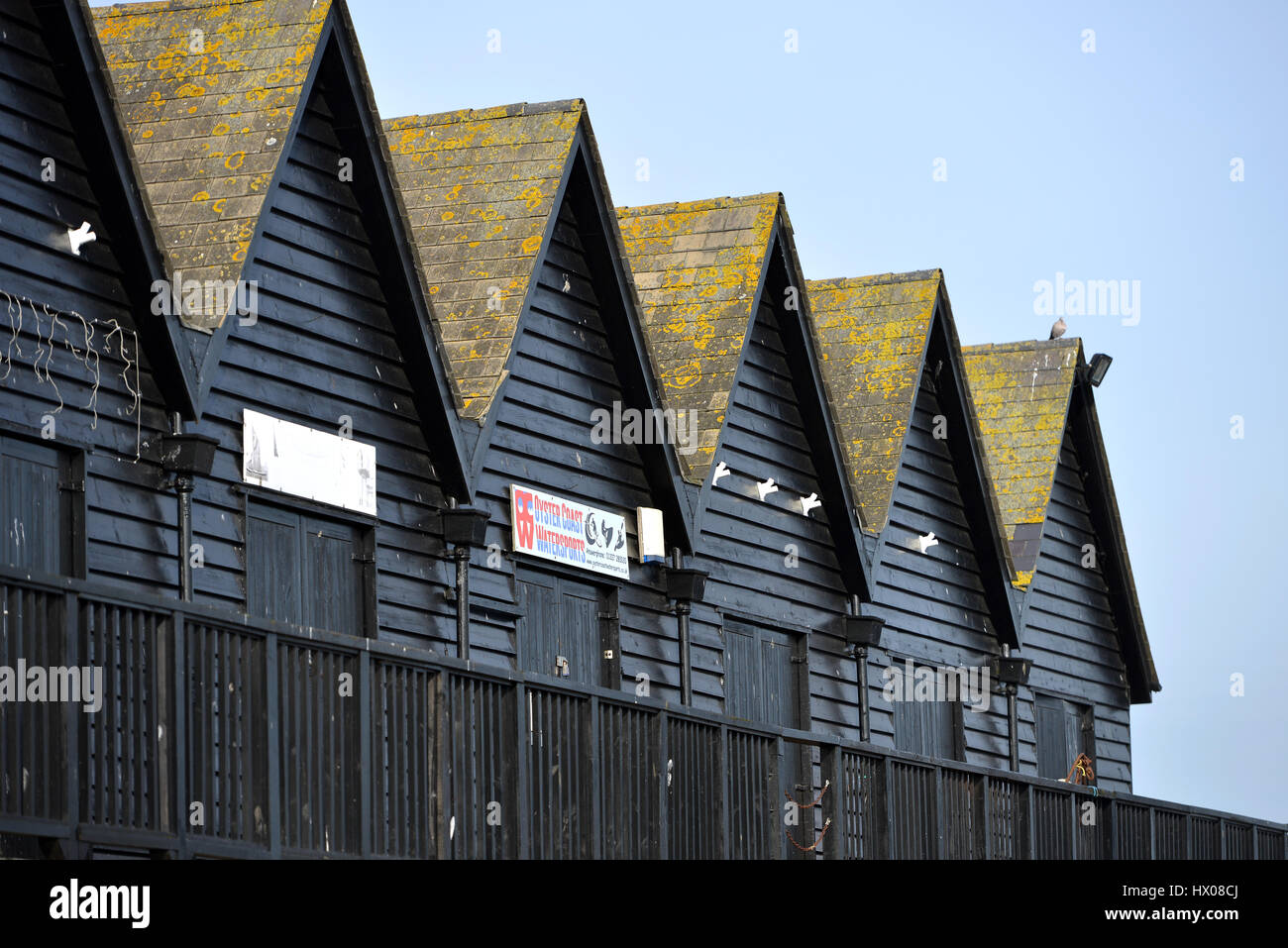 Whitstable harbour, Kent, UK Stock Photo - Alamy
