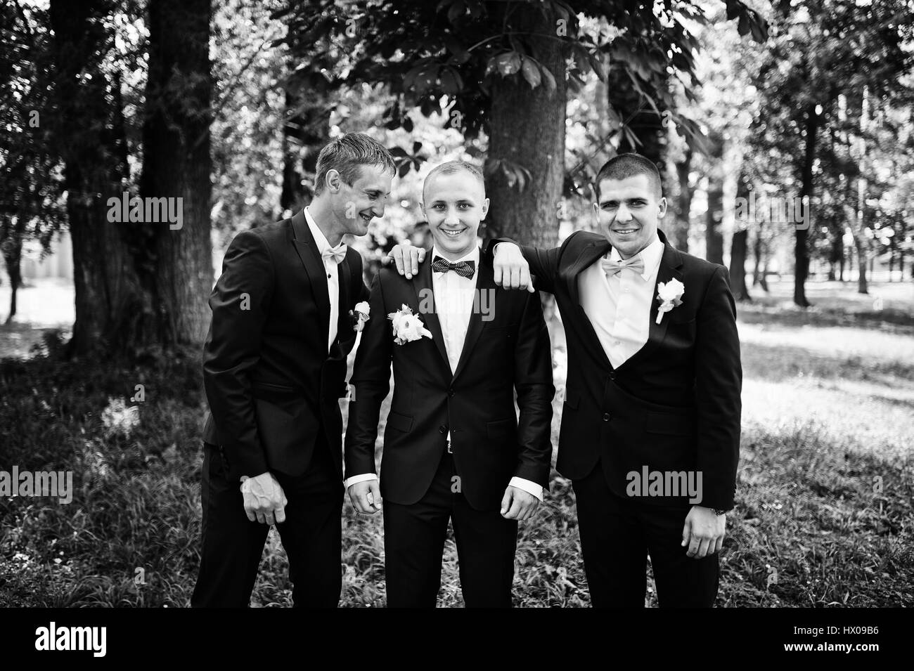 Groom with his best man's on wedding at park Stock Photo - Alamy