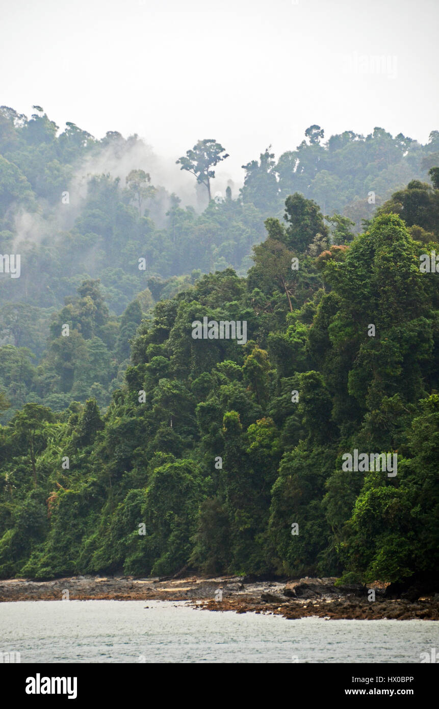 Rainforest near the village of Makyone Galet, Lampi National Marine ...
