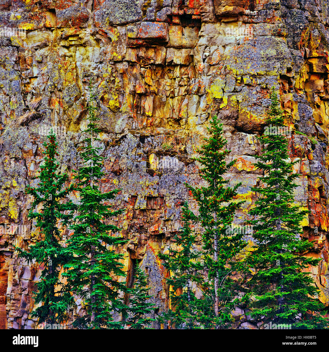 Rock face in Yellowstone National Park, Wyoming Stock Photo - Alamy
