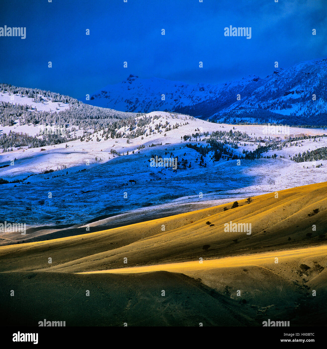 Everts hi-res stock photography and images - Alamy