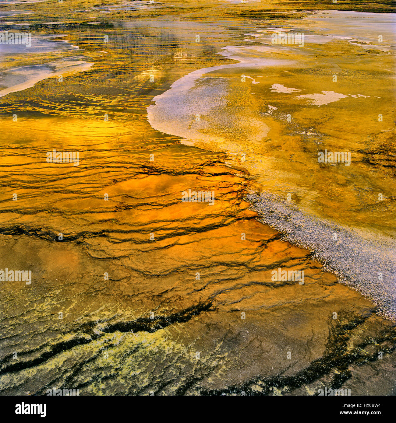 Grand Prismatic Spring in Yellowstone National Park, Wyoming, USA Stock ...