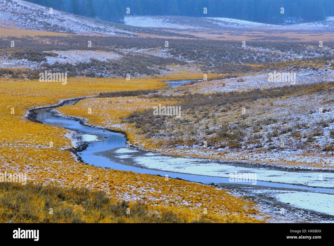 Hayden Valley in Yellowstone National Park, Wyoming, USA Stock Photo ...