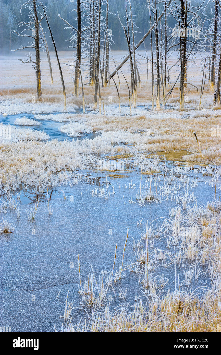 Gyser basin hi-res stock photography and images - Alamy