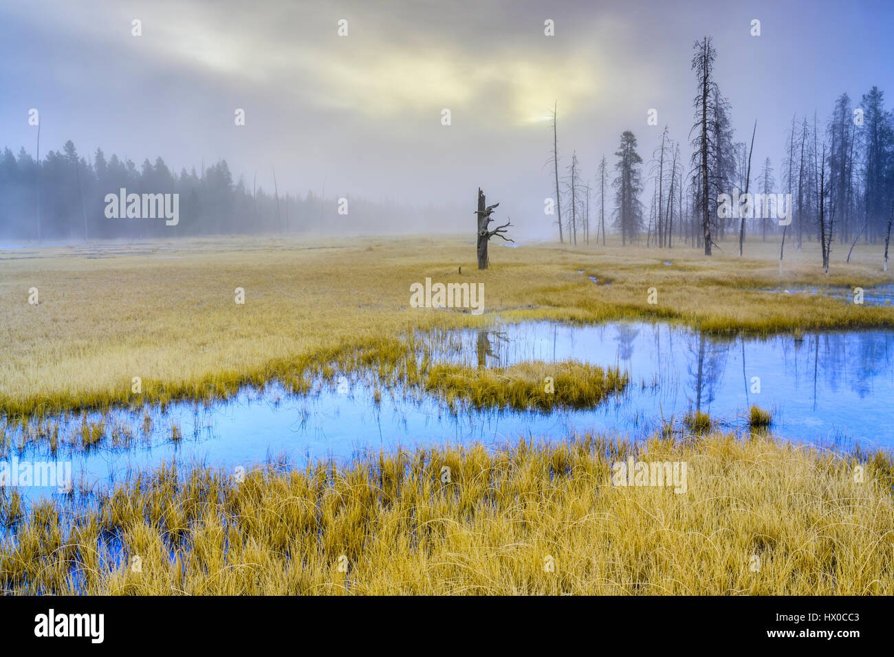 Firehole lake outlet; Yellowstone National Park Stock Photo - Alamy