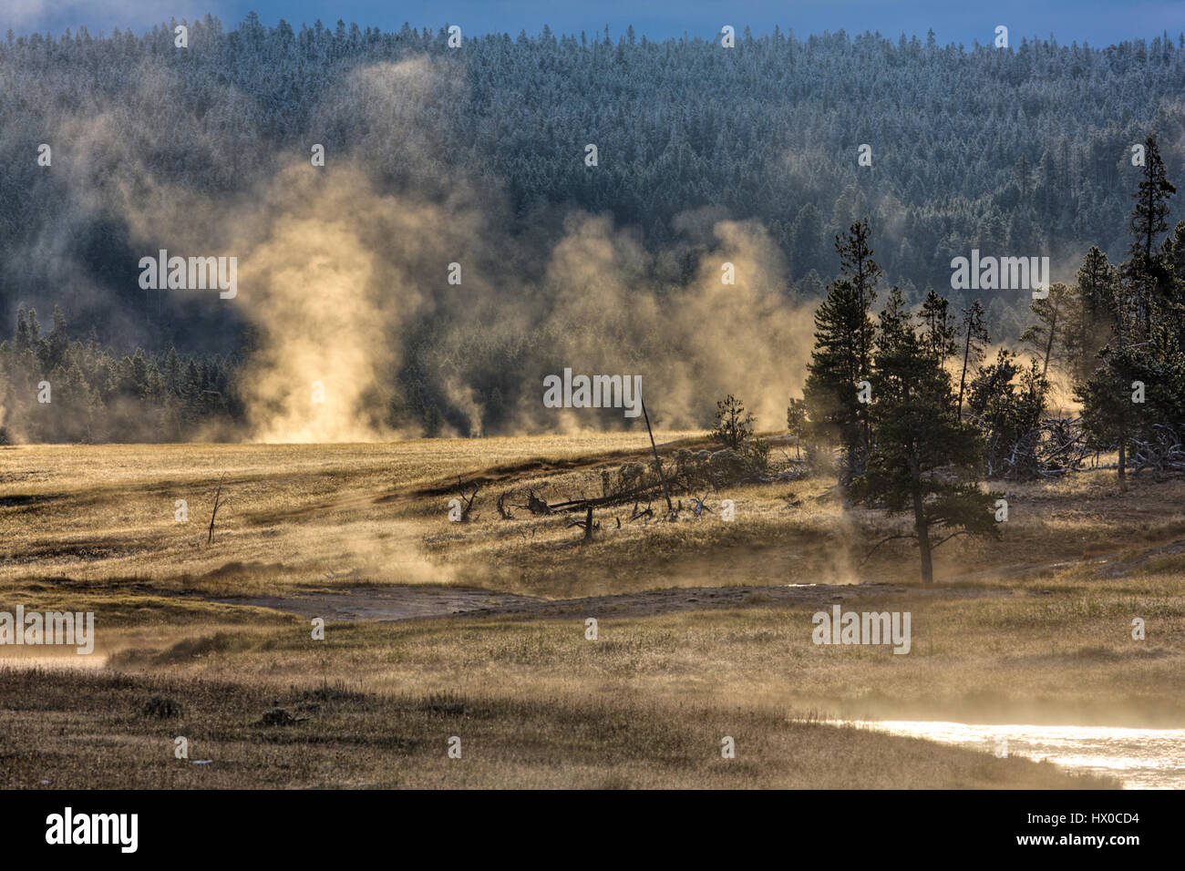 Frost covered meadow in Yellowstone National Park, Wyoming, USA Stock ...