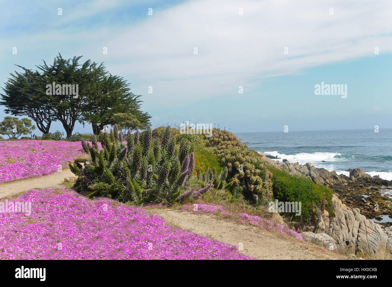 Coastline water blue path walkway hi-res stock photography and images ...