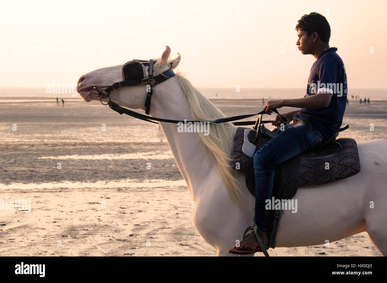 India Horse Ride Stock Photos & India Horse Ride Stock Images - Alamy