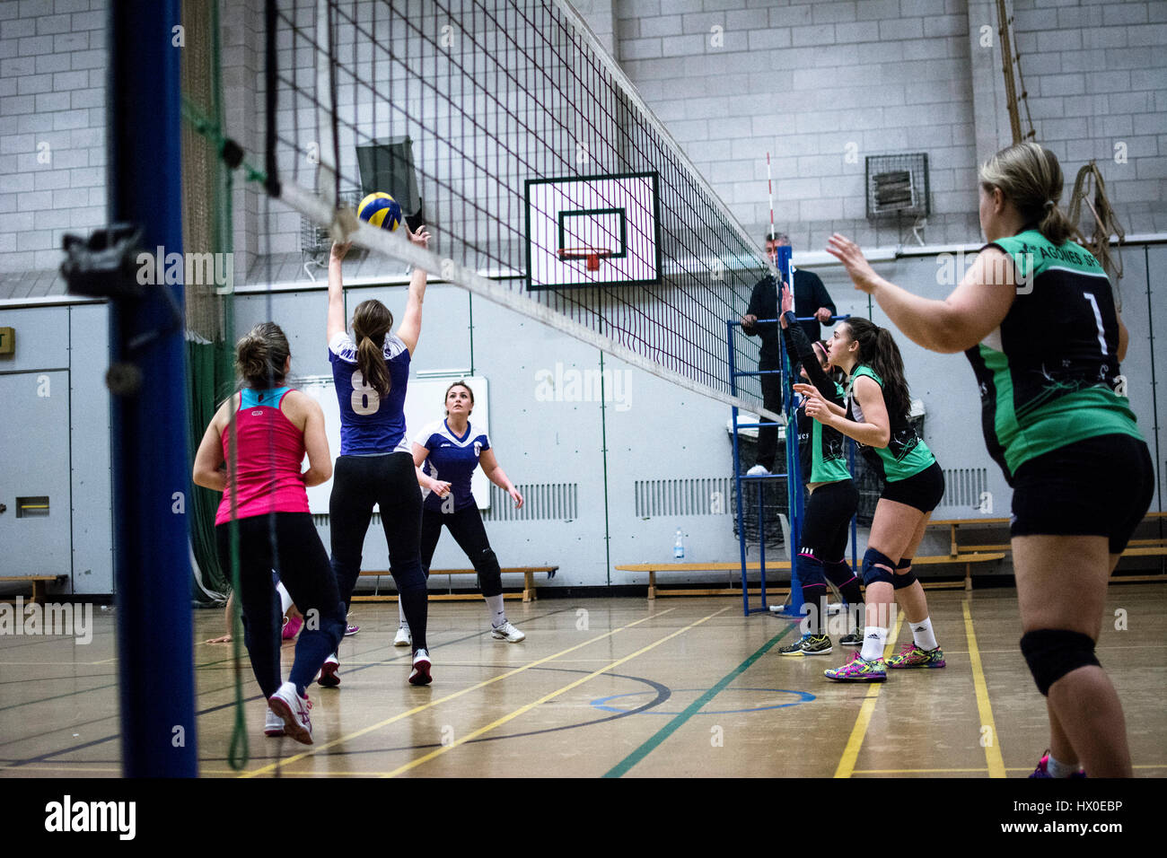 Action shots from the women's volleyball match between Agones Sfc and ...