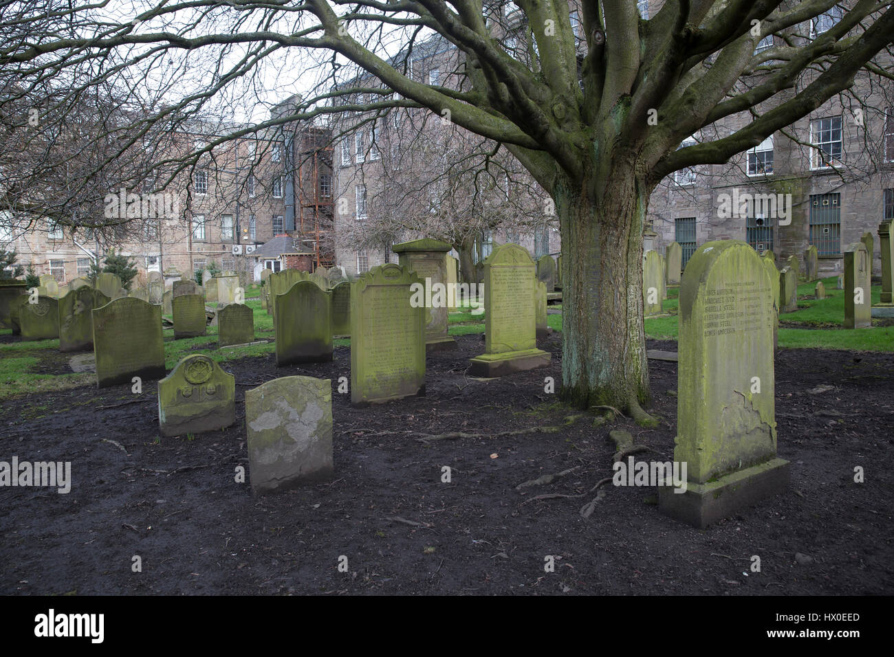 The Howff in Dundee is a medieval cemetry Stock Photo - Alamy
