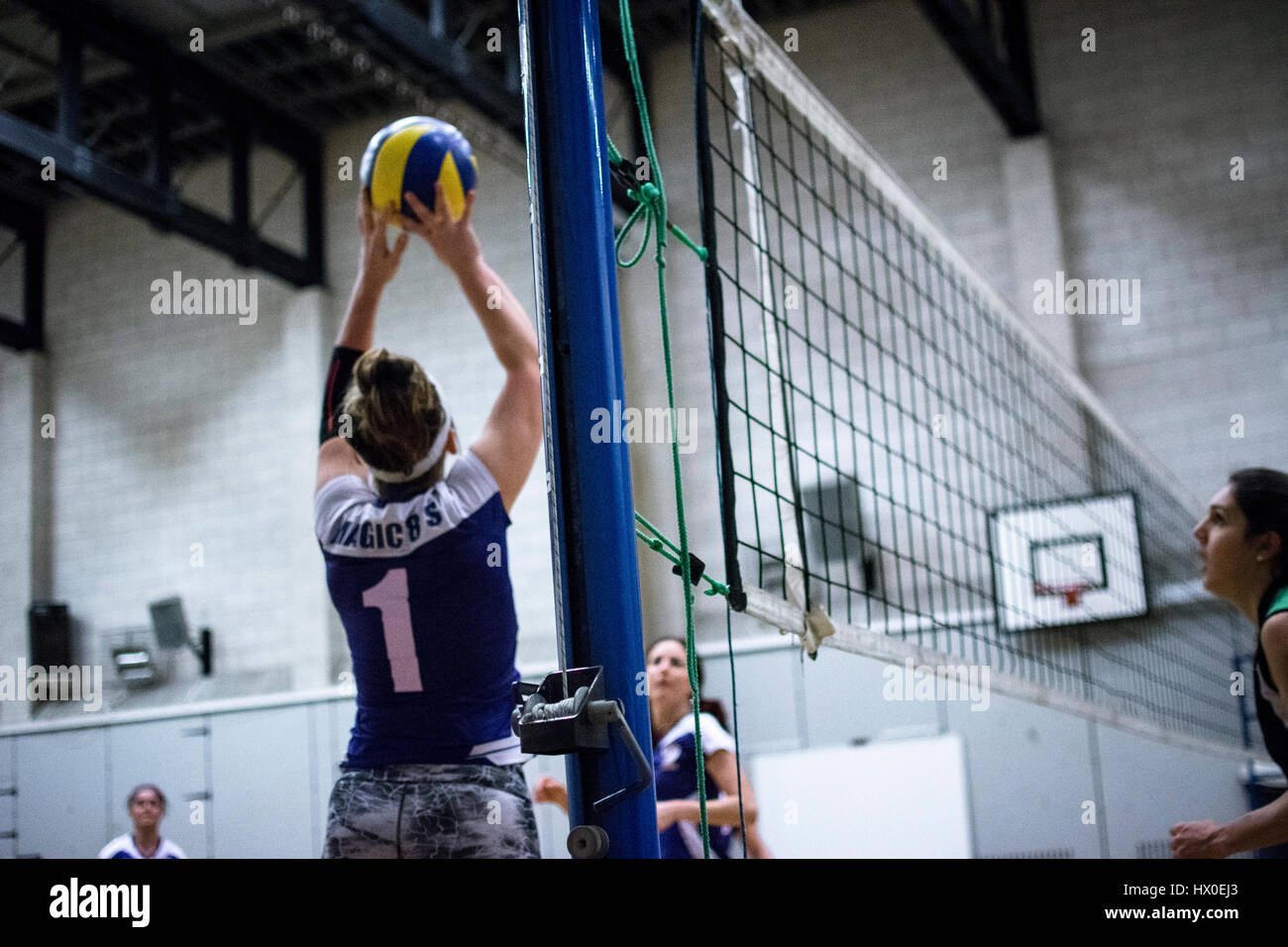Action shots from the women's volleyball match between Agones Sfc and ...