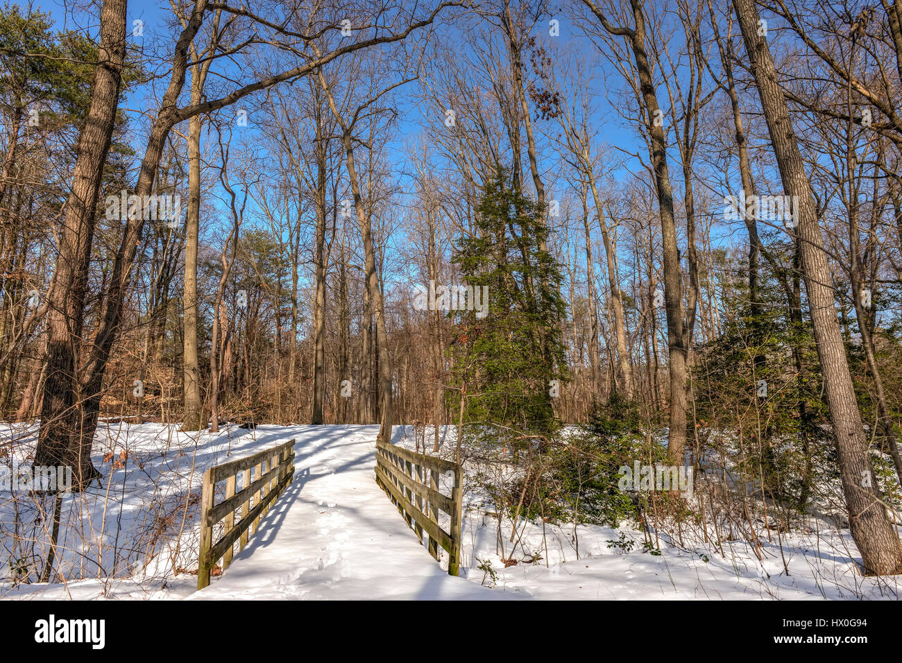 Old rustic walking bridge over a frozen stream in the Maryland woods ...