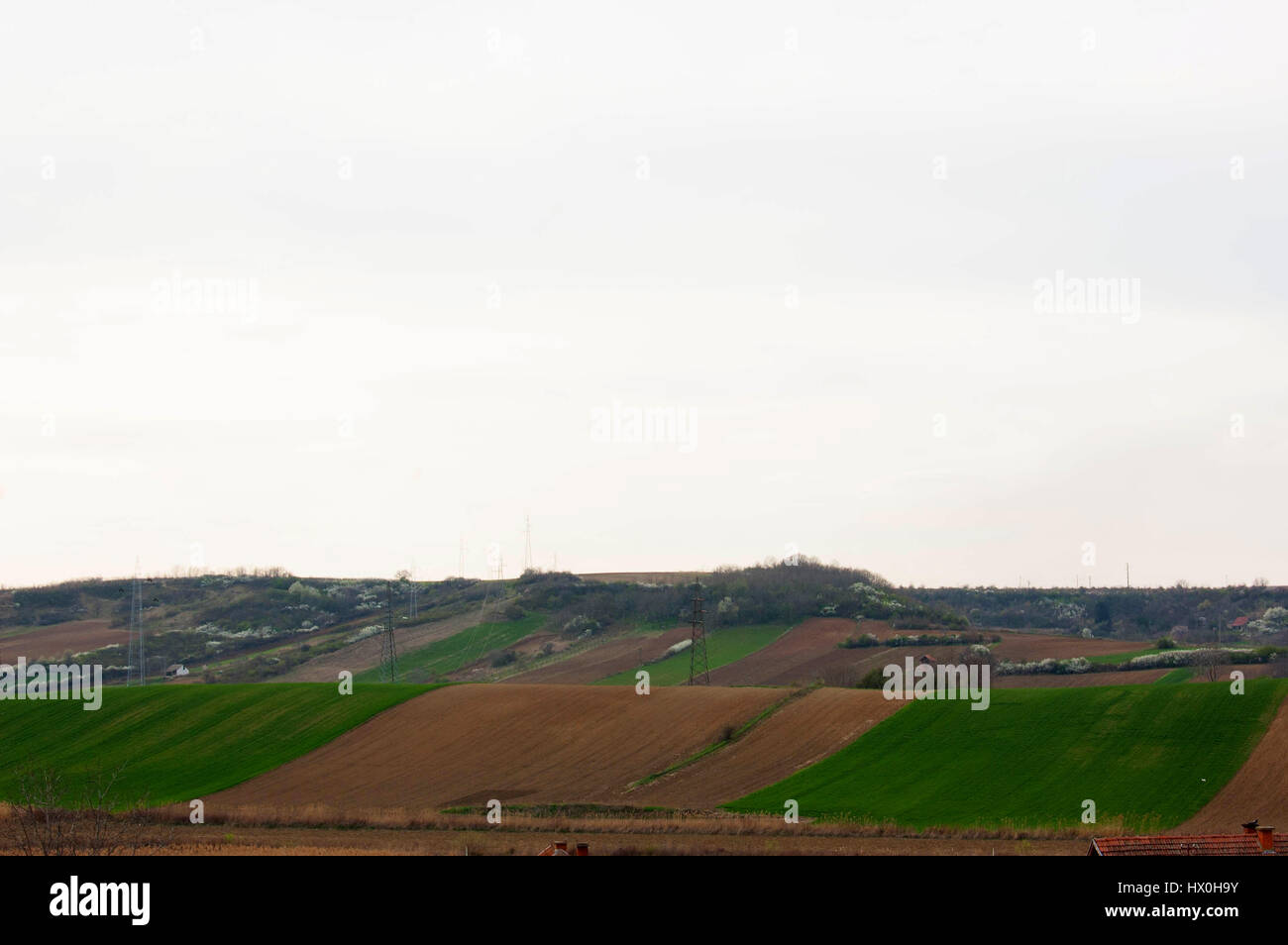 Beautiful spring landscape with field in Vojvodina,Serbia Stock Photo ...