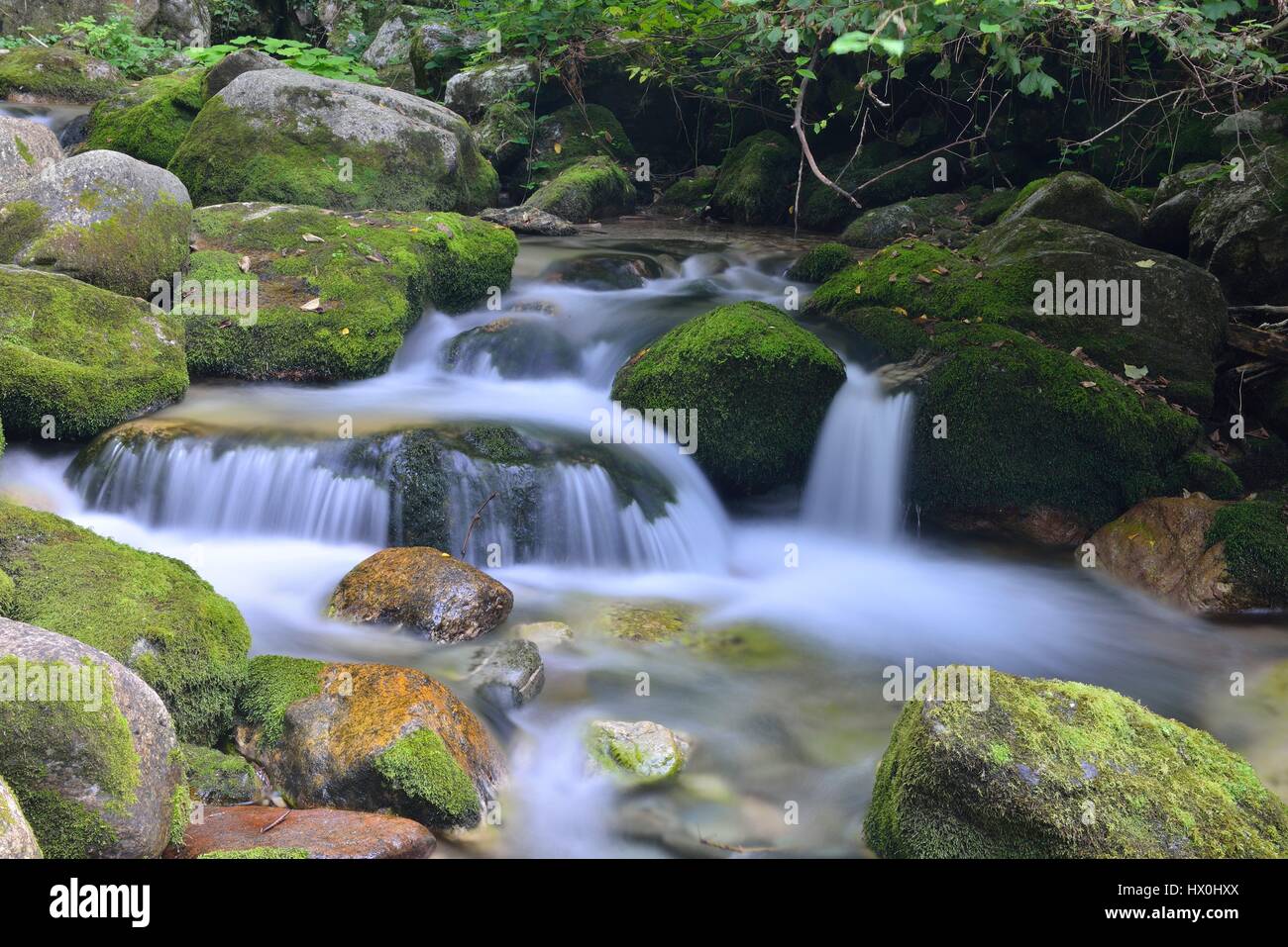 Alpine river in Valle Pesio, Piedmont Stock Photo - Alamy