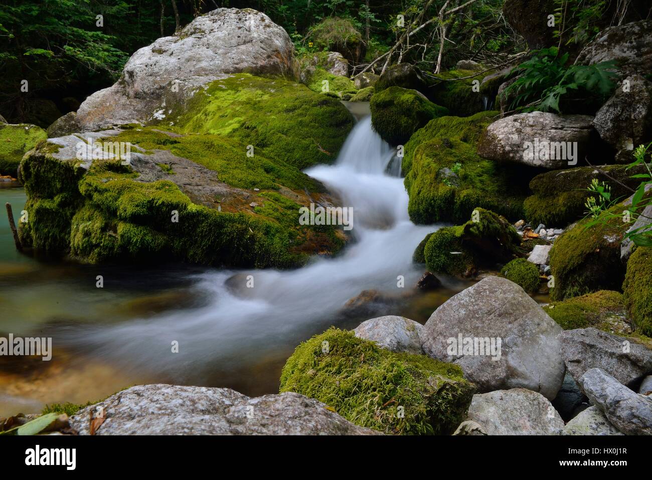 Alpine river in Valle Pesio, Piedmont Stock Photo - Alamy