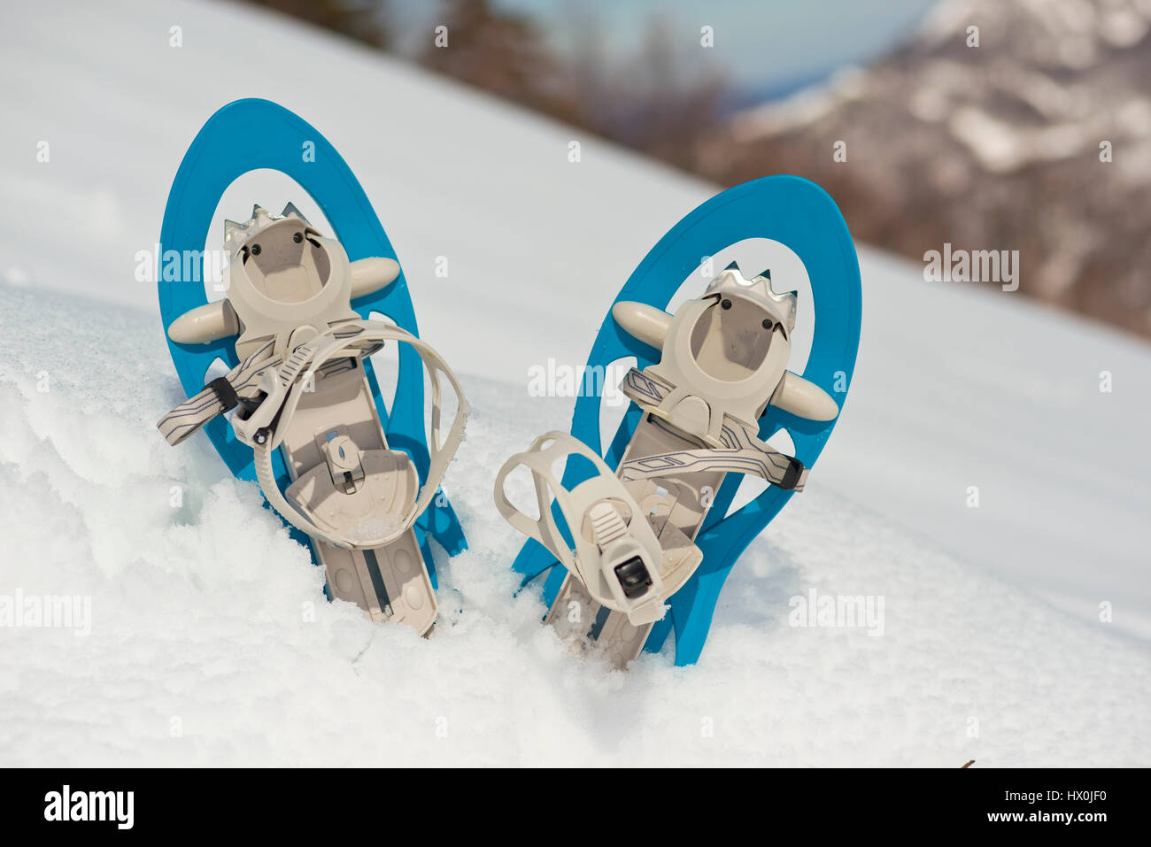 Pair of snowshoes on the snow Stock Photo - Alamy