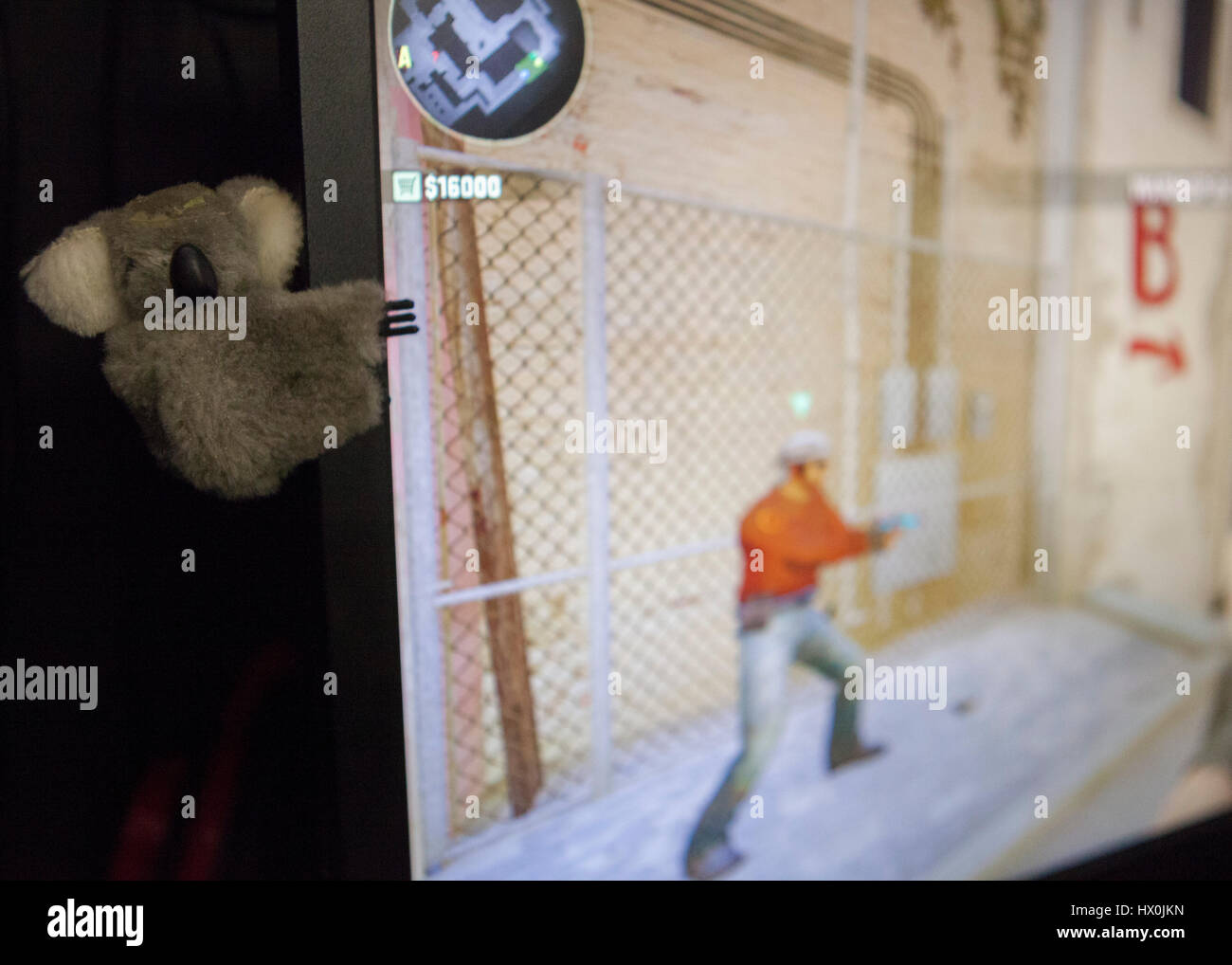 Teams play in 5V5 counter strike global offensive LAN at talk and surf ...