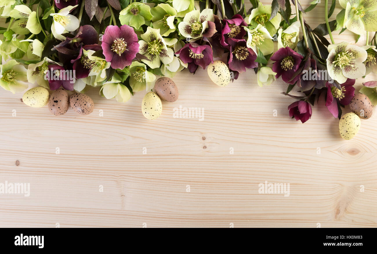 Spring flowers background with Easter decoration pastel color. Lenten ...