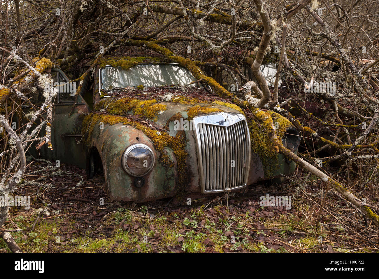 Scrap vehicle overgrown nature hi-res stock photography and images - Alamy