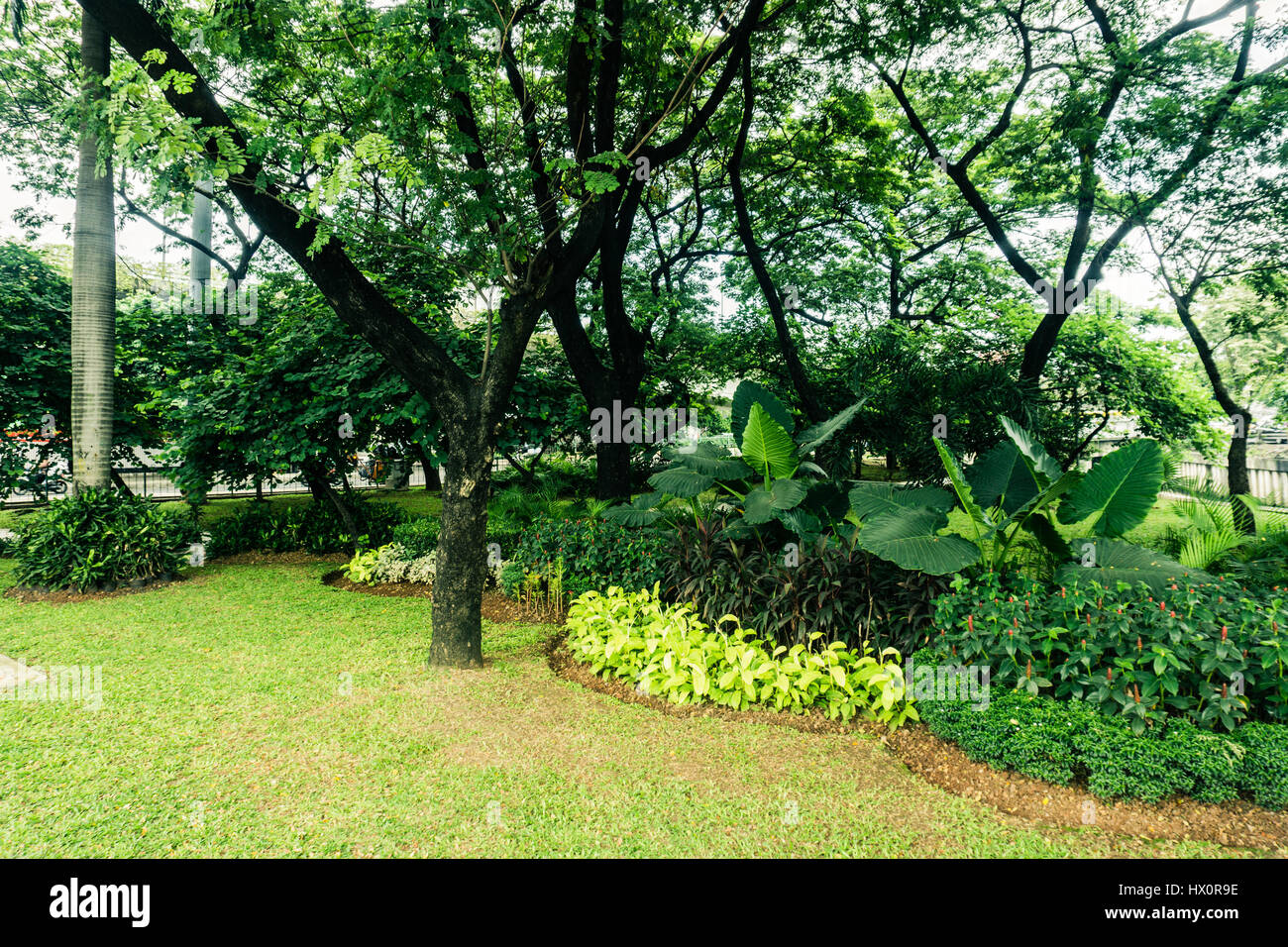 Beautiful green city park with various kind of plant and flower photo ...