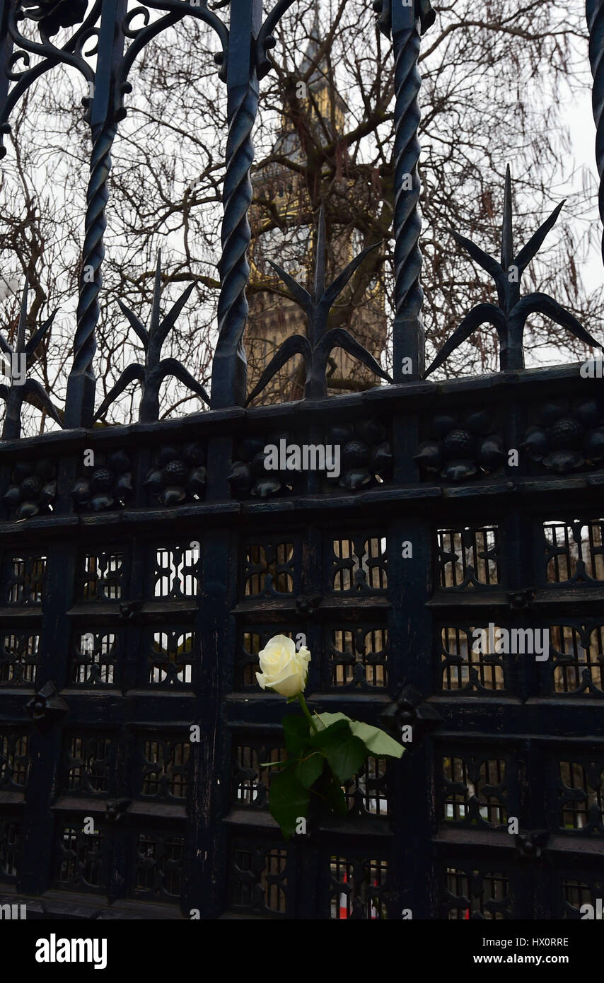 A white rose in the gates outside the Palace of Westminster in central ...