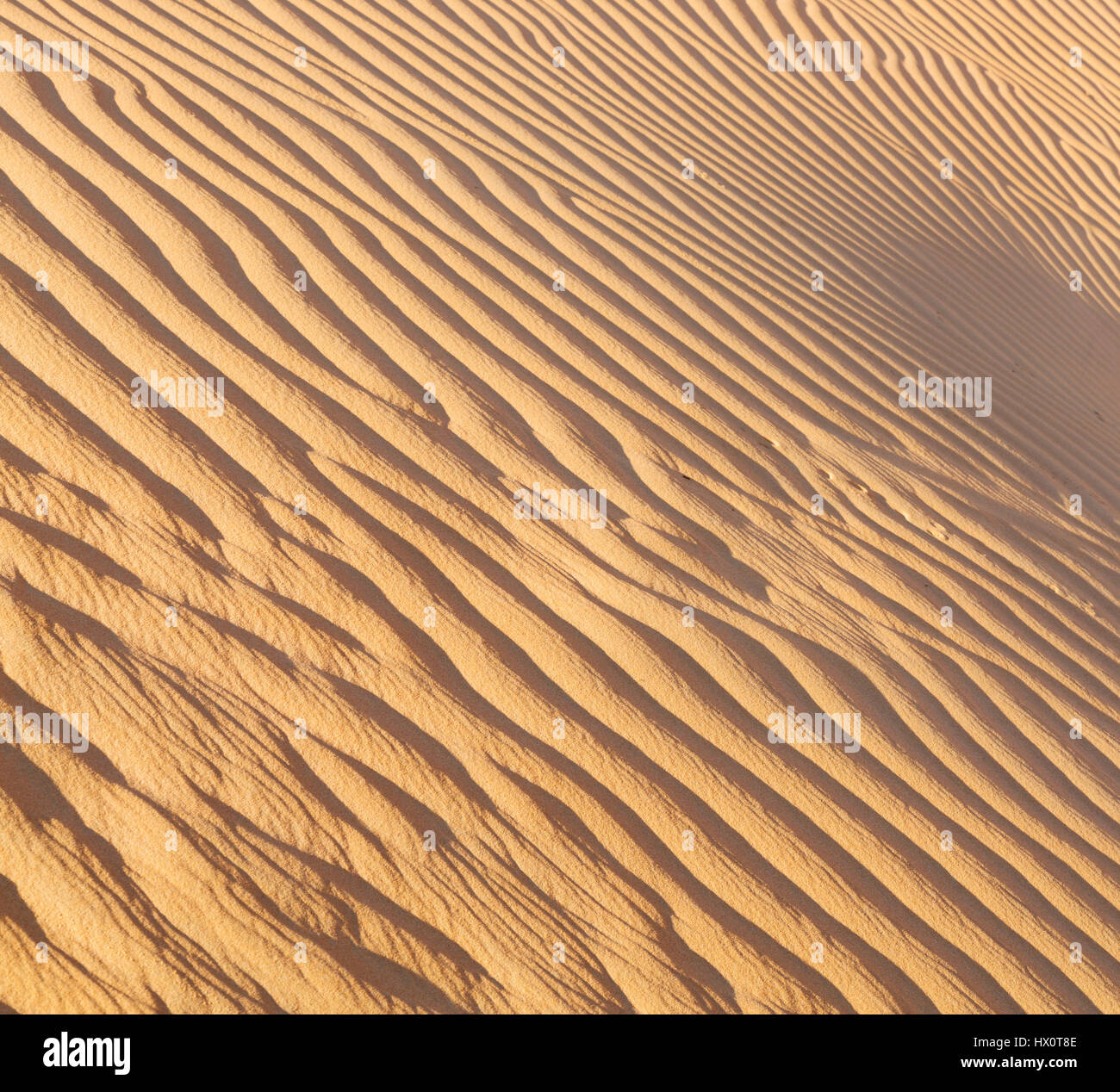 abstract texture line wave in oman the old desert and the empty quarter ...