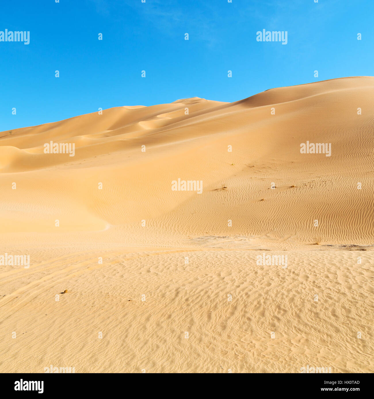 the empty quarter and outdoor sand dune in oman old desert rub al khali ...