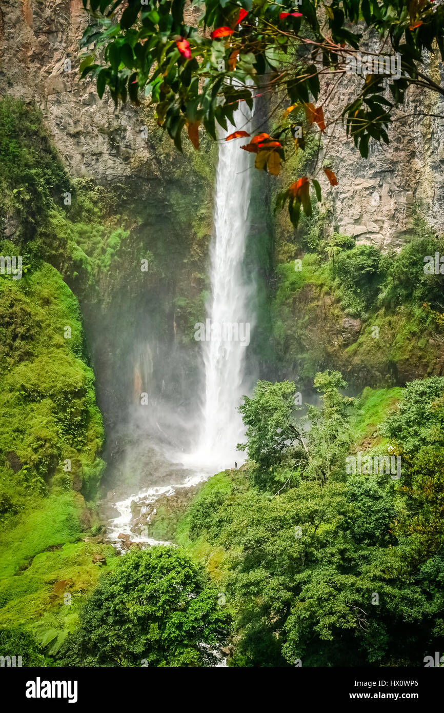 Pisu hi-res stock photography and images - Alamy