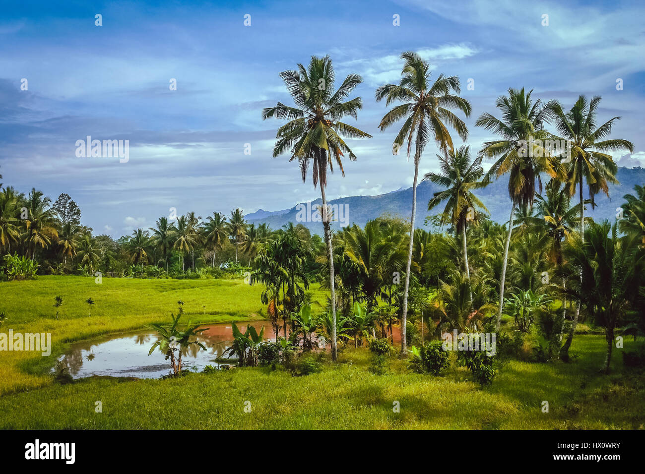 Tropical green landscape on Sumatra island in Indonesia Stock Photo - Alamy