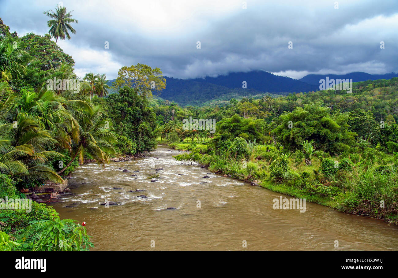 River flowing through dense tropical jungle on the Indonesian Sumatra ...