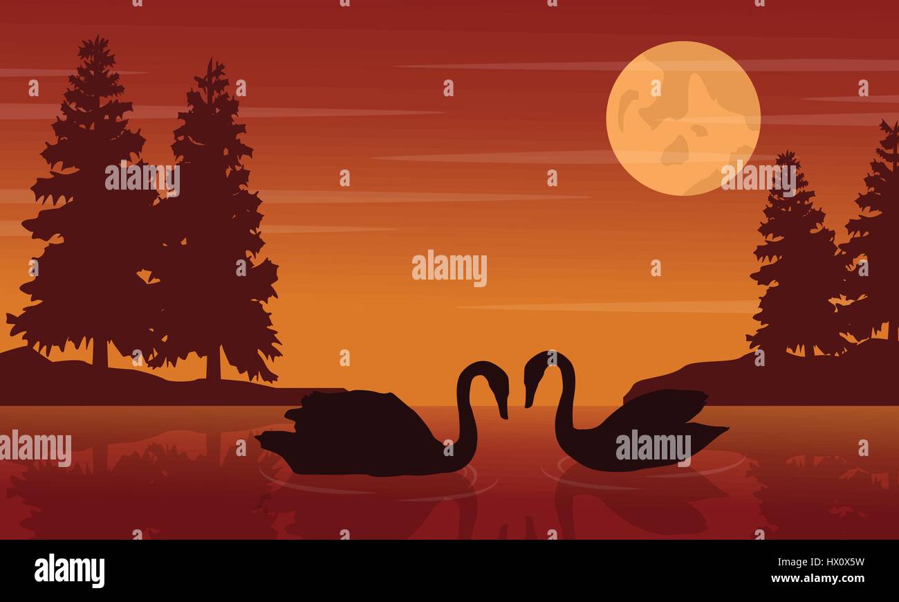 Swan on river vector Stock Vector Images - Alamy