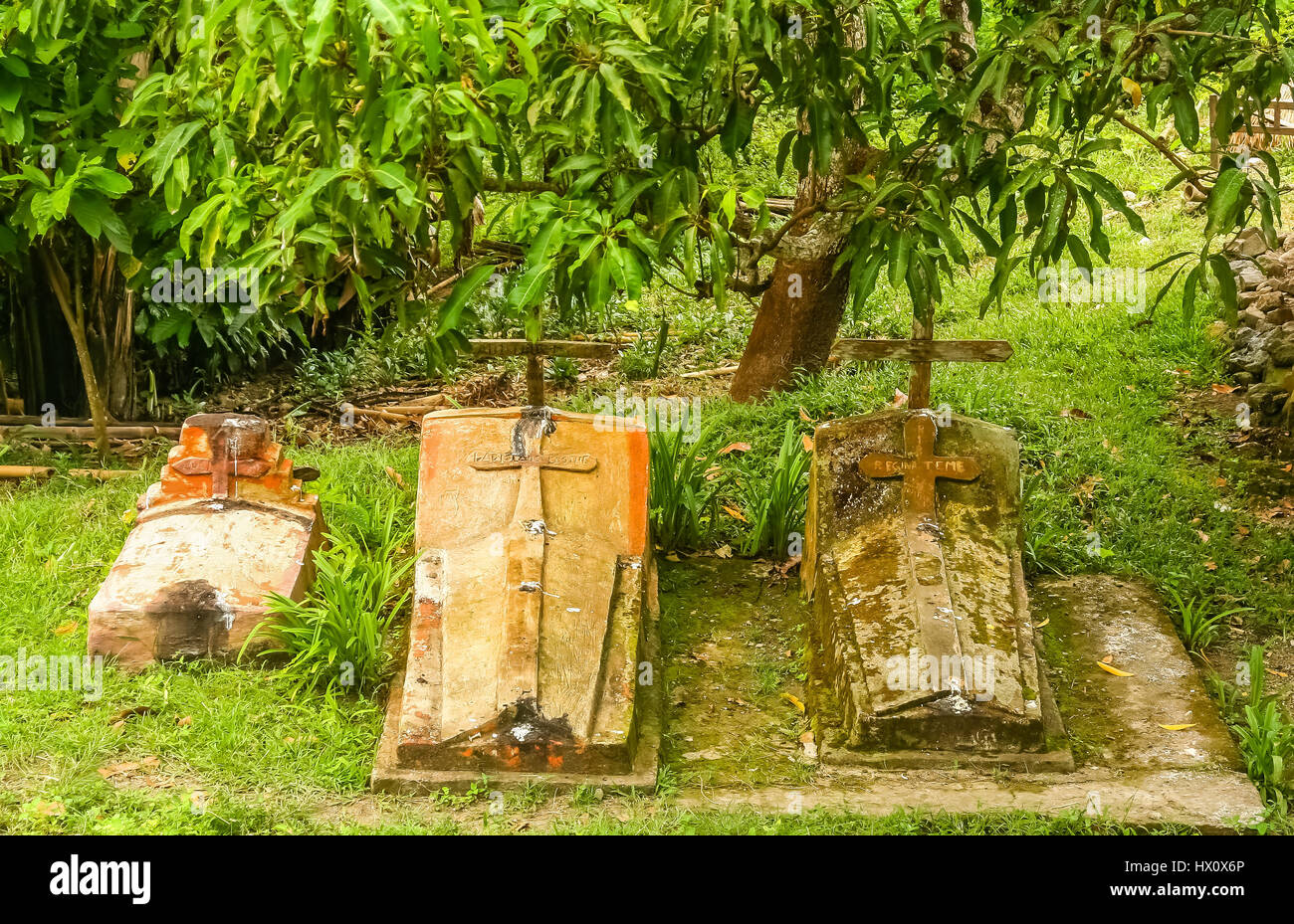 The tree of life and death christ hi-res stock photography and images ...